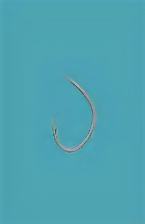 12-0003 Mutsu fishing and Ara rope fishing – 土佐啓作釣