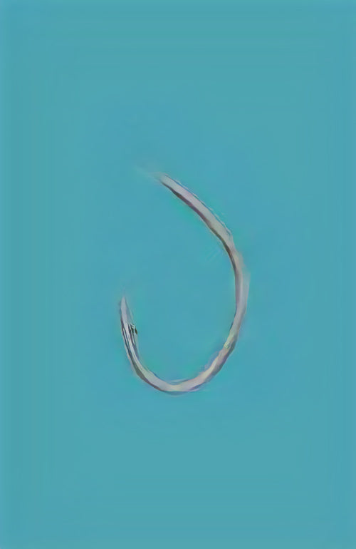 12-0006 Mutsu fishing and Ara rope fishing – 土佐啓作釣