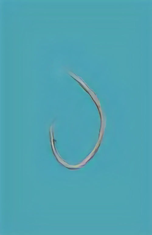 12-0007 Mutsu fishing and Ara rope fishing – 土佐啓作釣