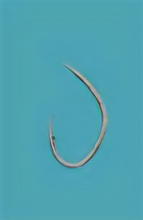 12-0009 Mutsu fishing and Ara rope fishing – 土佐啓作釣