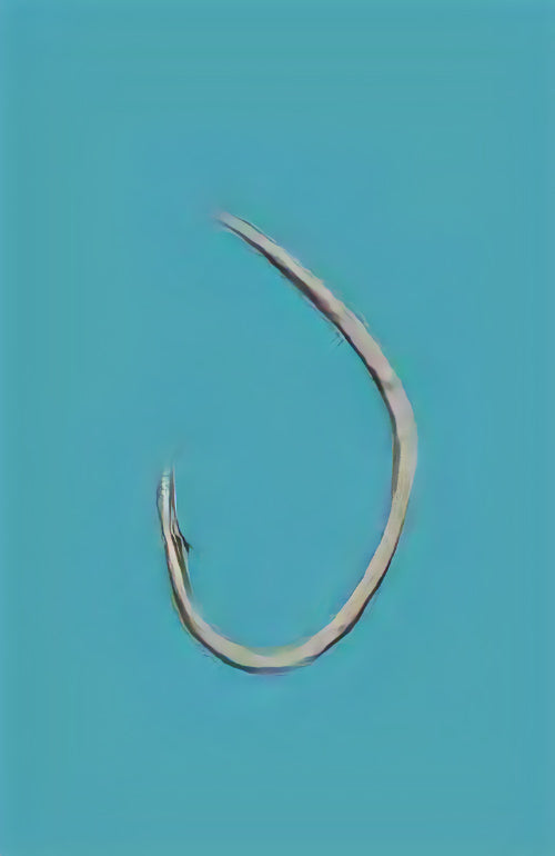 12-0012 Mutsu fishing and Ara rope fishing – 土佐啓作釣